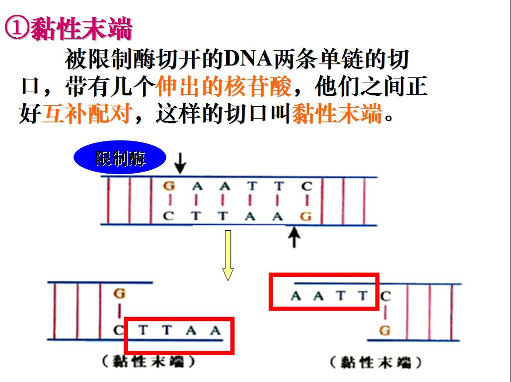 平末端示意图平末端的示意图管顶平接示意图第5页大山谷图库